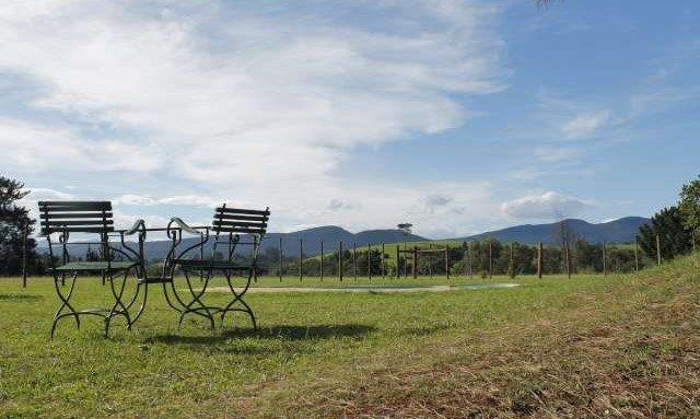 Home | Ingwe Forest Adventures