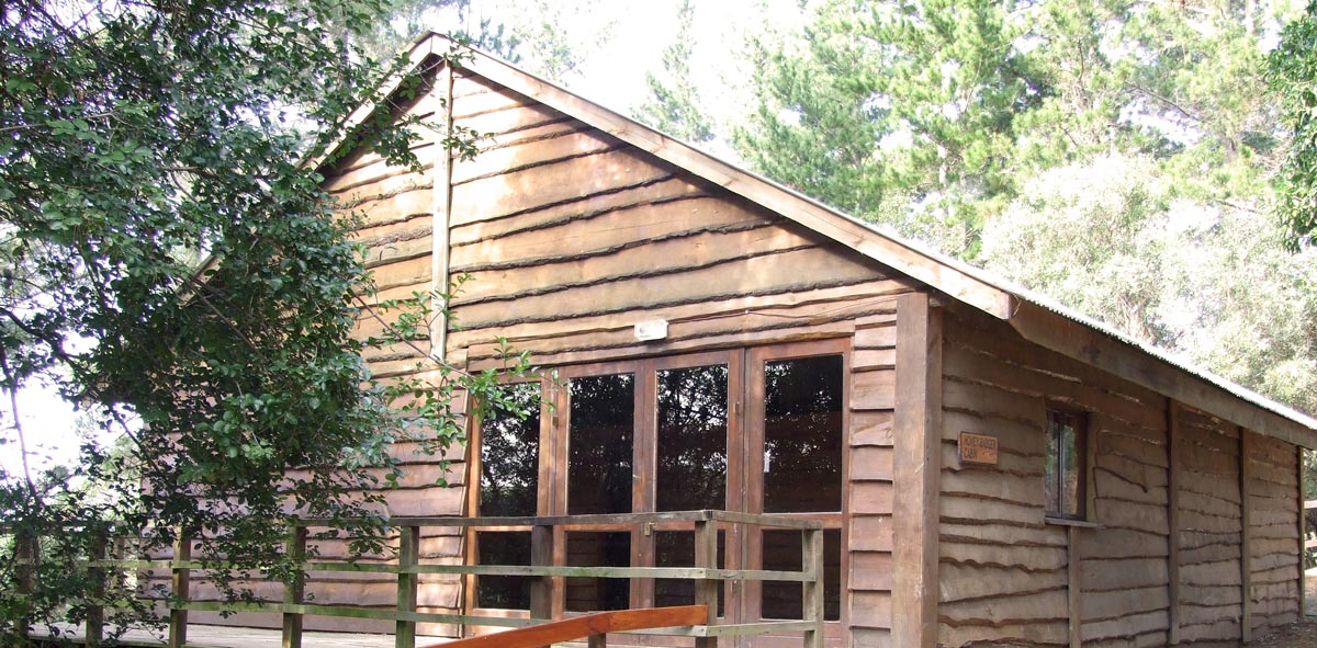 Home | Ingwe Forest Adventures