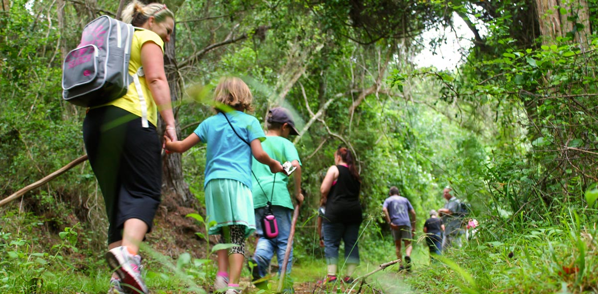 Home | Ingwe Forest Adventures